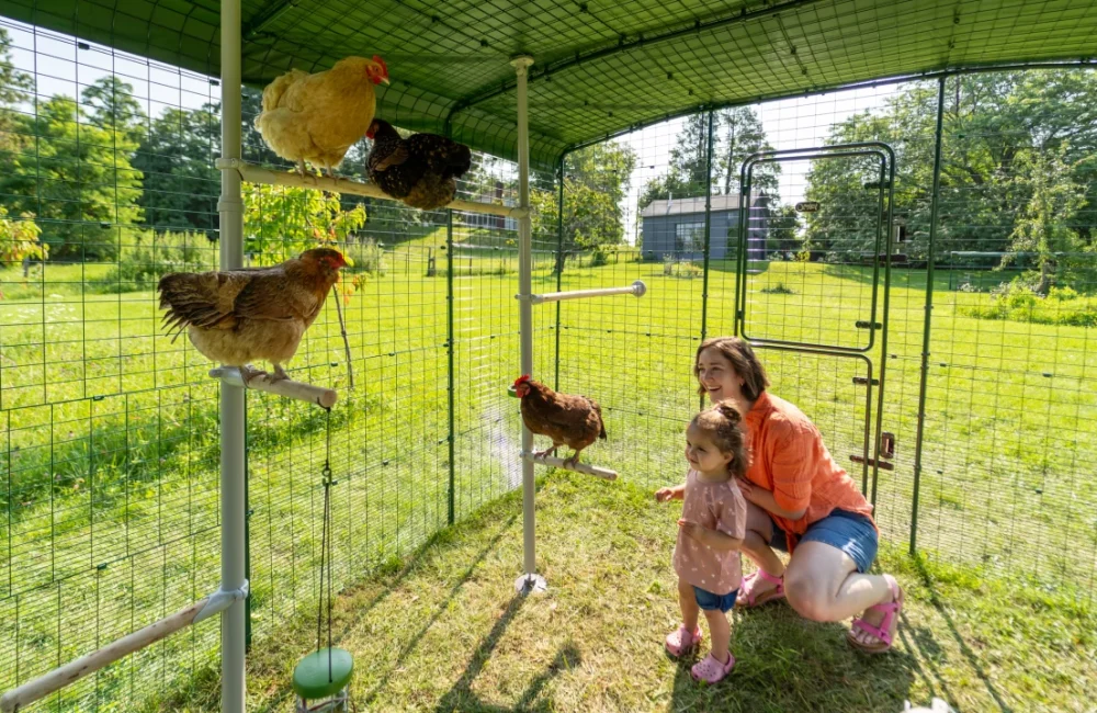 Eglu Pro ist der große Hühnerstall von Omlet